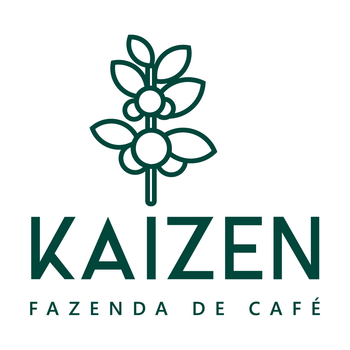High-quality Specialty Coffee Farm - Fazenda Kaizen